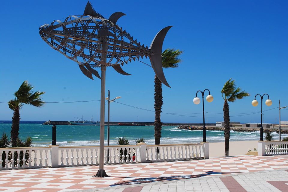 Información sobre Barbate